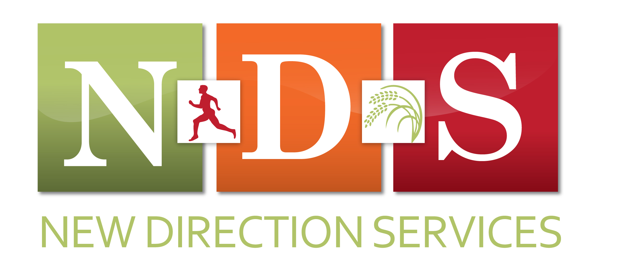 Home | New Direction Services